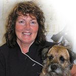 Our Team - Cameron & Greig Veterinary Surgeons