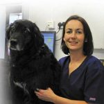 Our Team - Cameron & Greig Veterinary Surgeons