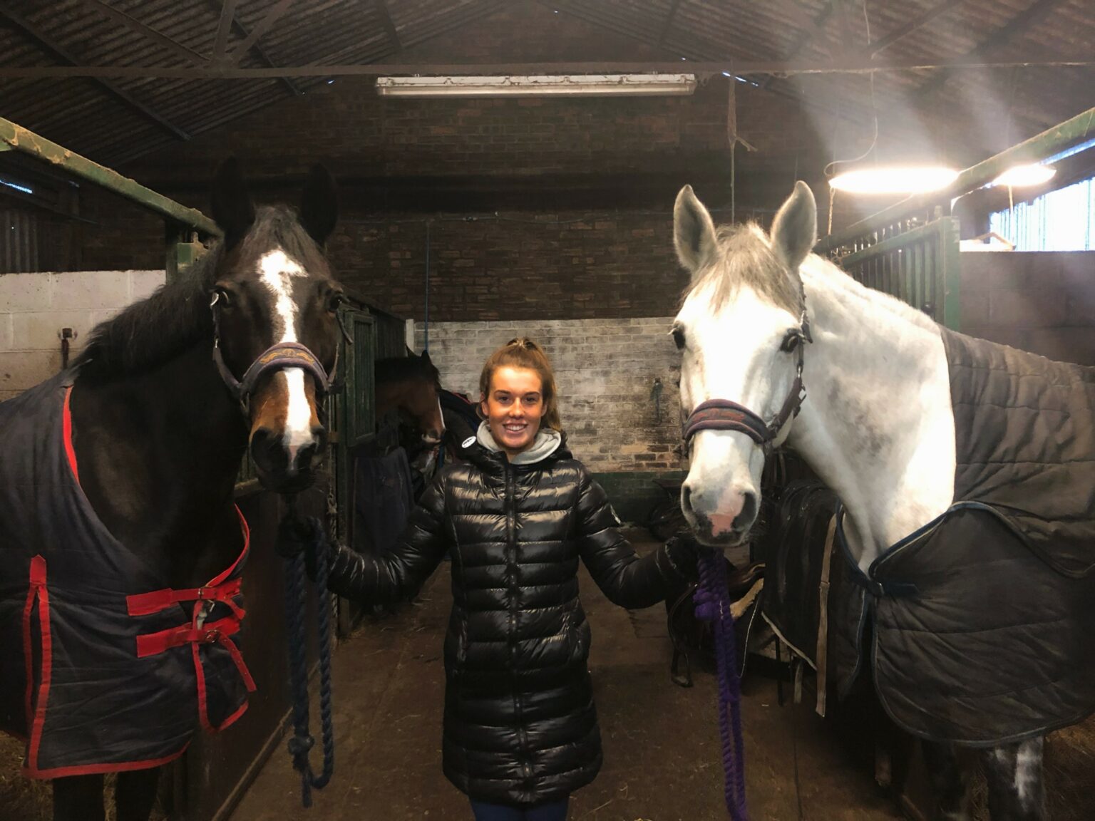 Our Team - Cameron & Greig Veterinary Surgeons